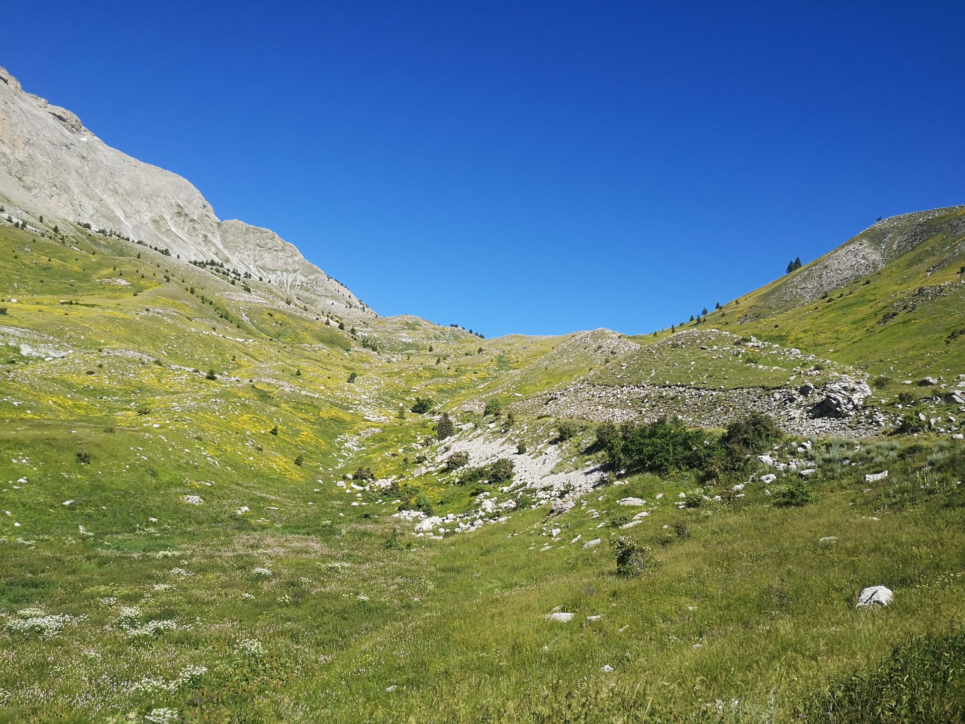Cyclisme : Ascension du Col des Champs - Tourisme Alpes d'Azur